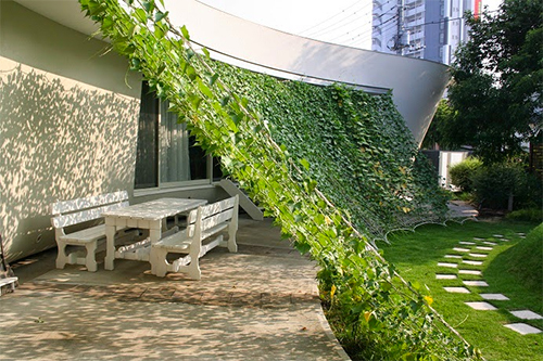 Growing Shade: Grow Your Own Shade For A Deck Or Patio | OutsideModern