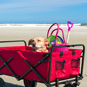 Best Beach Cart | OutsideModern